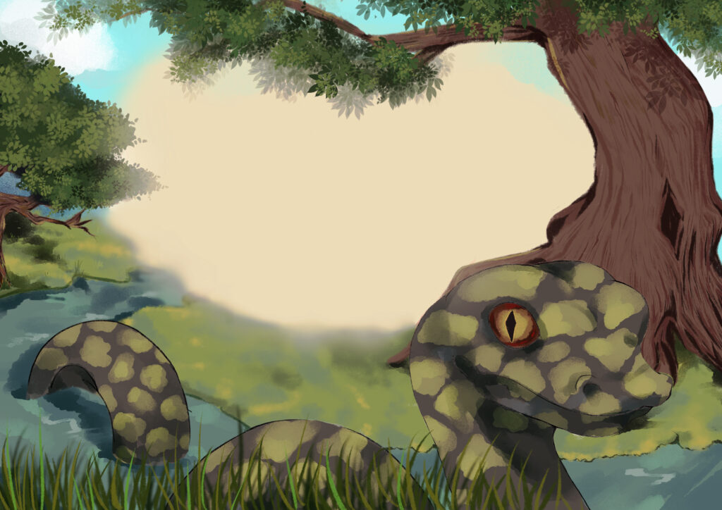 BiG Focus : Navigating the Legend of the Nabau - EB