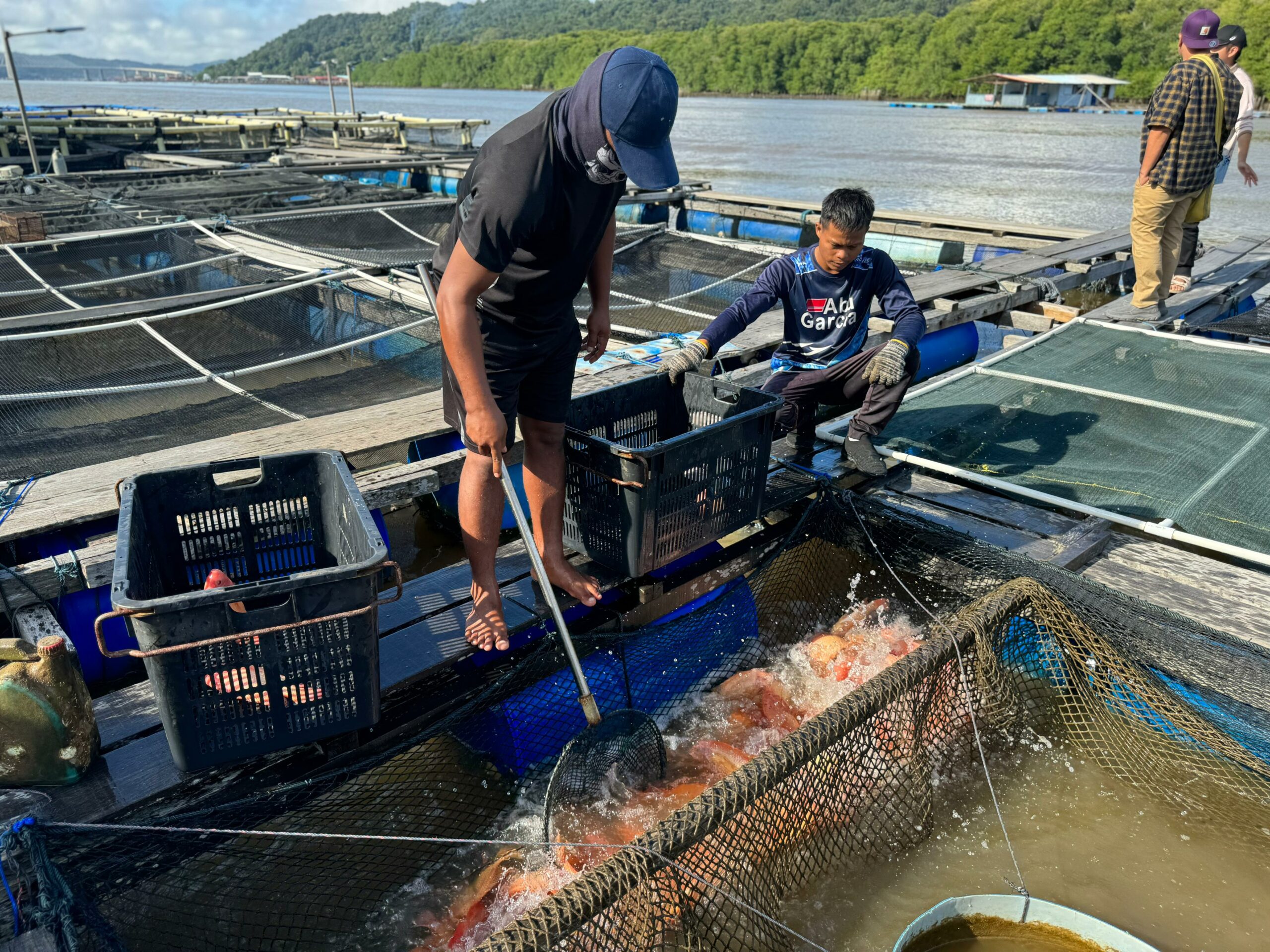 Sustainable seas - EB