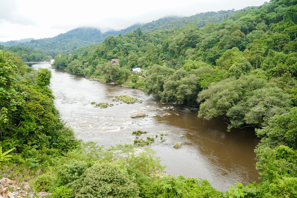 BiG Focus : Navigating the Legend of the Nabau - EB