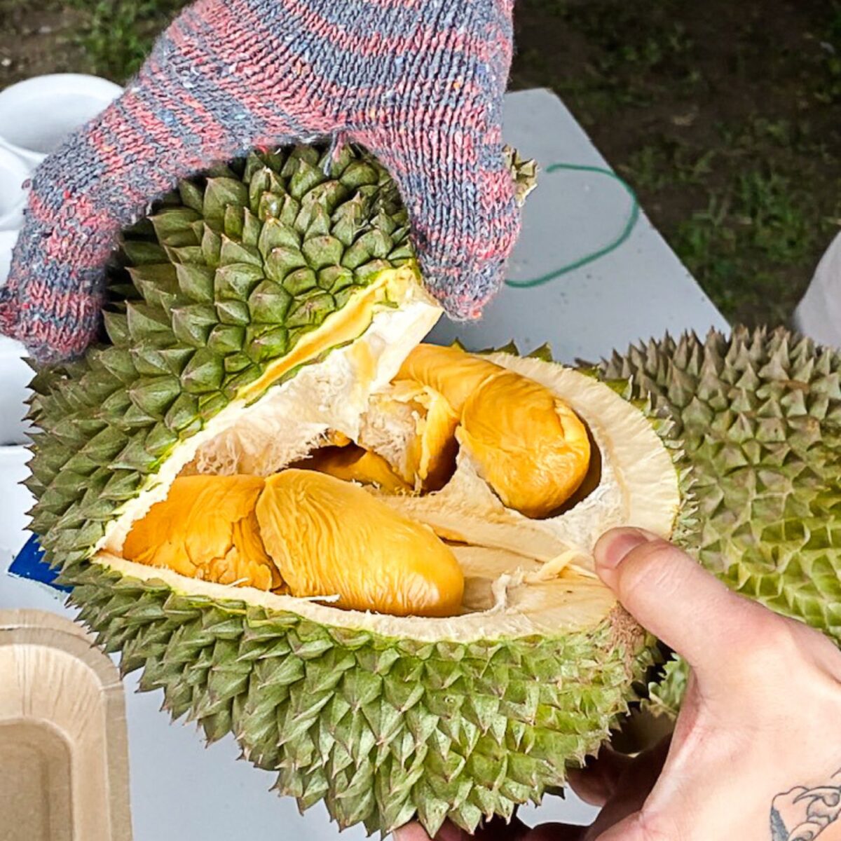 BiG Buzz : All Hail the King of Fruits! - EB